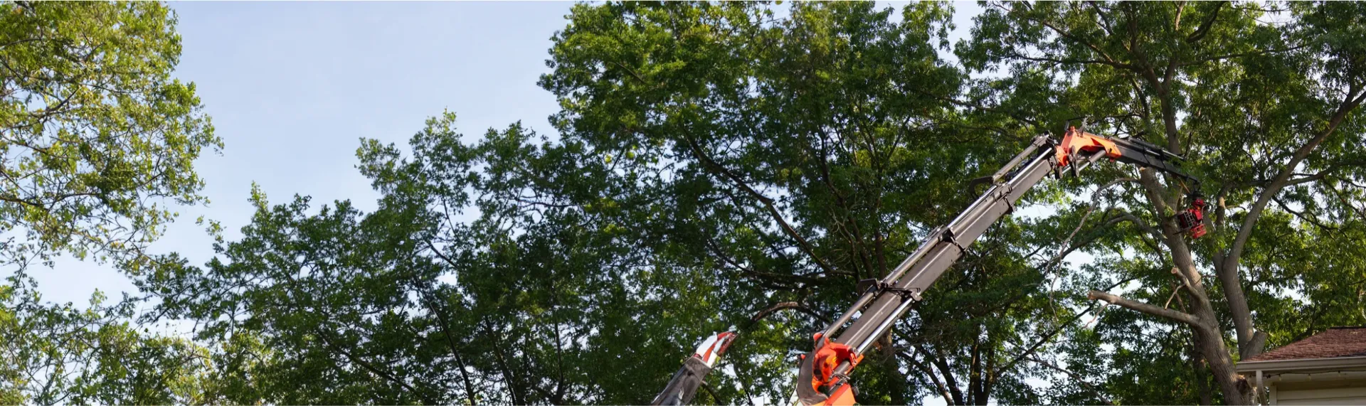 Empire Tree Service, Southern Maryland - Expert Tree Removal